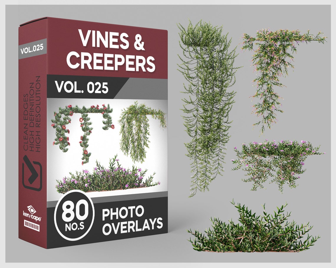 80 Vines & Creepers Photo Overlays for Photoshop, Vines, Ivy, Plants ...