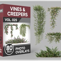 80 Assorted Plants Photo Overlays for Photoshop, Orchids, Plants ...