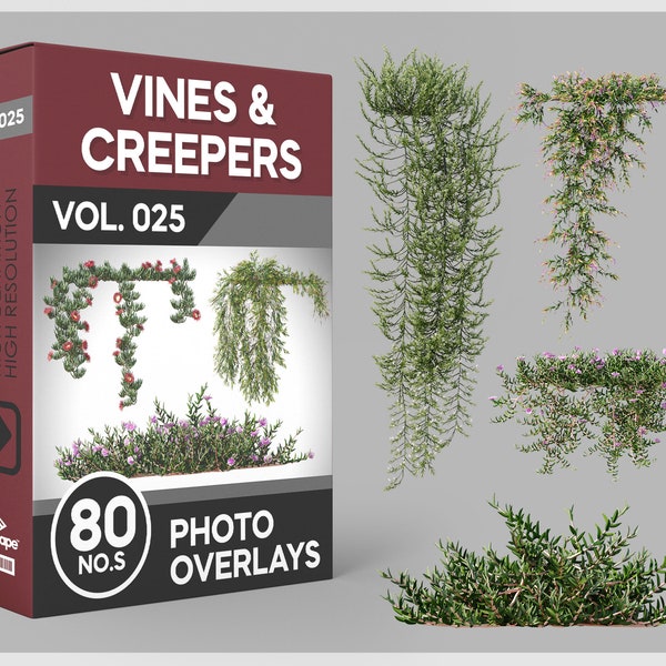 Vines Ivy - Etsy