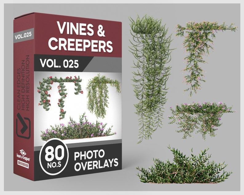 80 Vines & Creepers Photo Overlays for Photoshop, Vines, Ivy, Plants ...