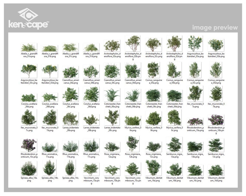 60 Assorted Plants Photo Overlays for Photoshop, Home Plants, Plants ...