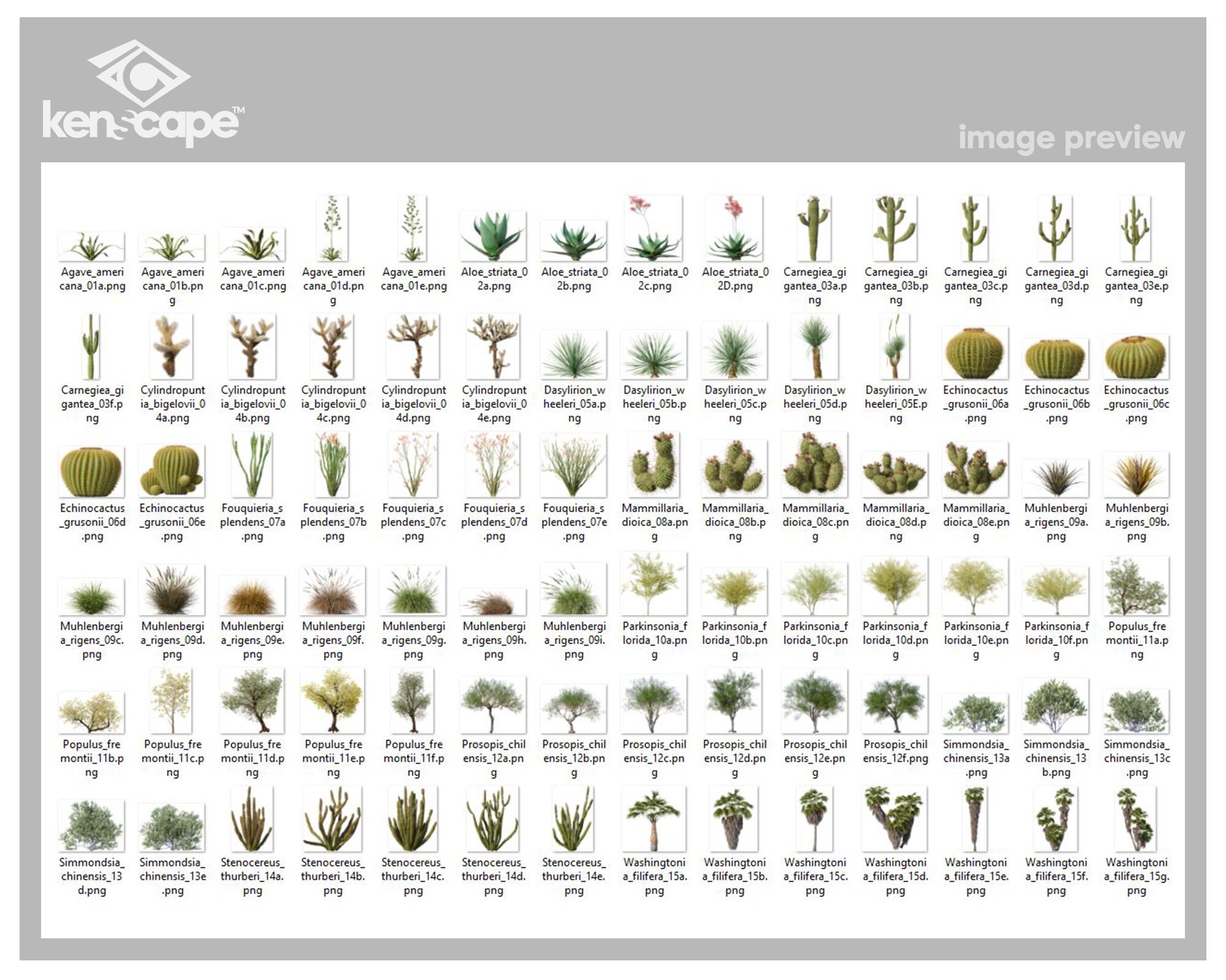 84 Desert Plants Photo Overlays for Photoshop, Mexican Plants, Trees ...