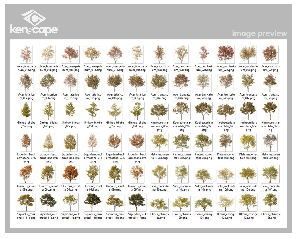 72 Autumn Trees Photo Overlays for Photoshop, Trees, Fall Trees ...