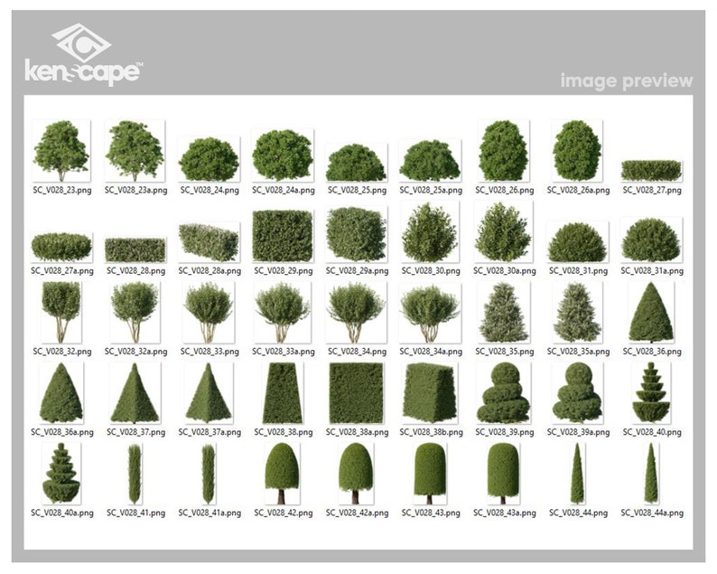 Shrub Photo Overlays: Landscape Plant PNG Cutouts (digital Downloads ...