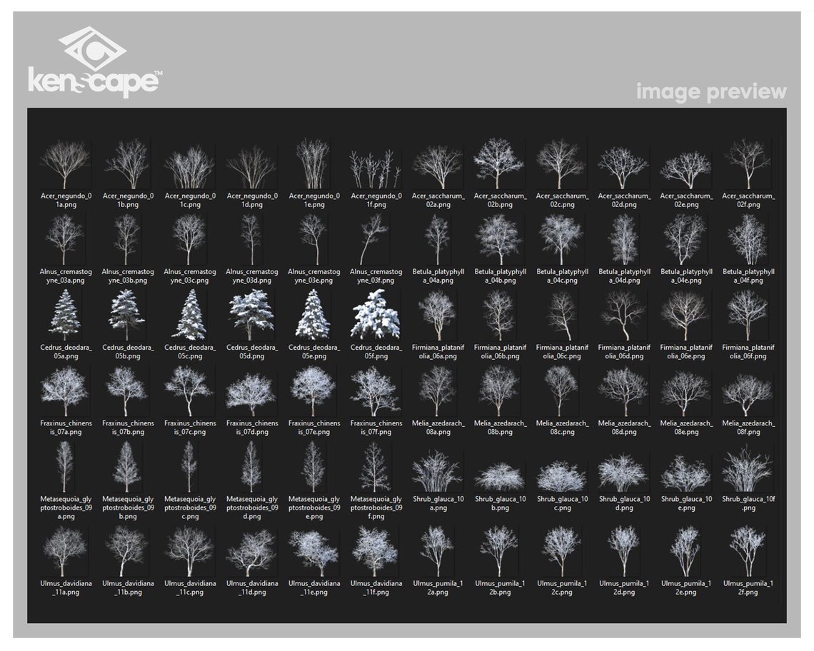 72 Winter Trees Photo Overlays for Photoshop, Trees, Snowy Trees ...