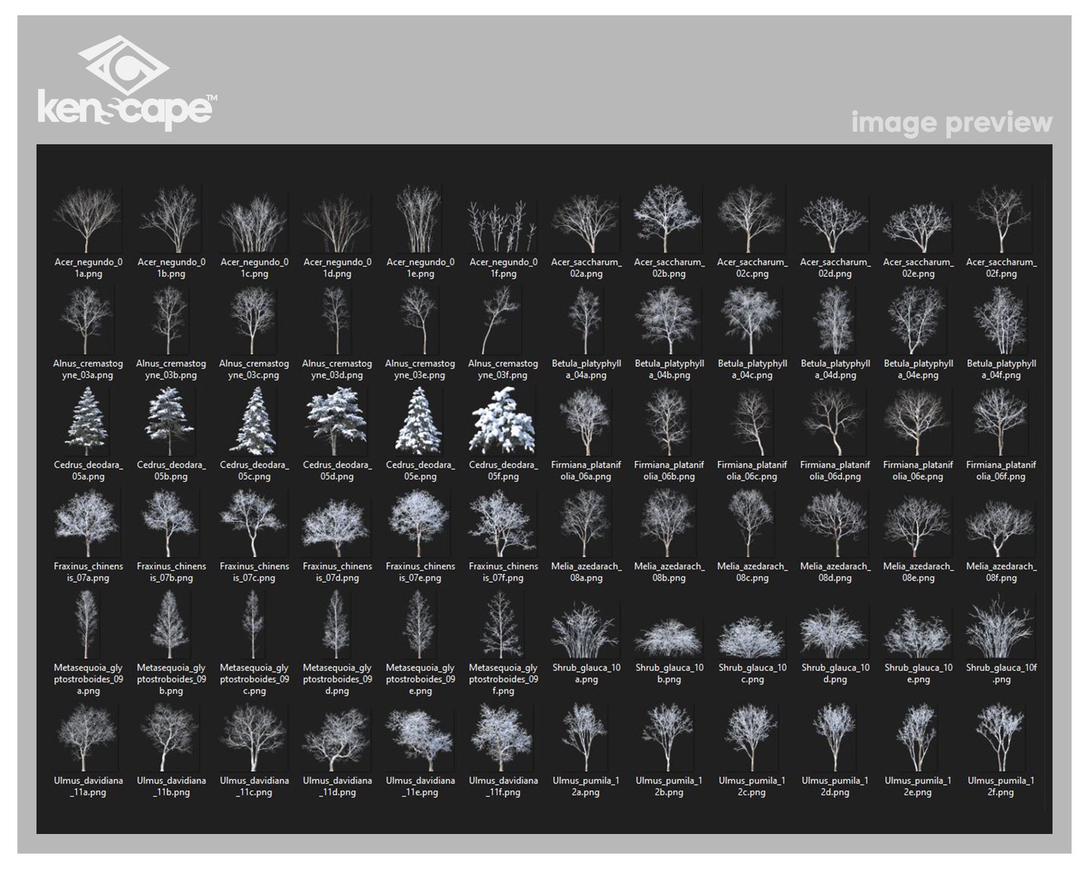 72 Winter Trees Photo Overlays for Photoshop, Trees, Snowy Trees ...