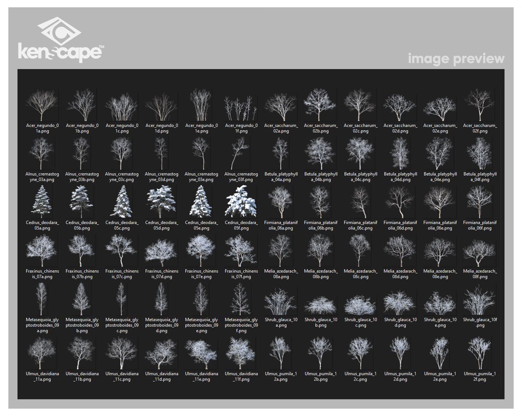 72 Winter Trees Photo Overlays for Photoshop, Trees, Snowy Trees ...