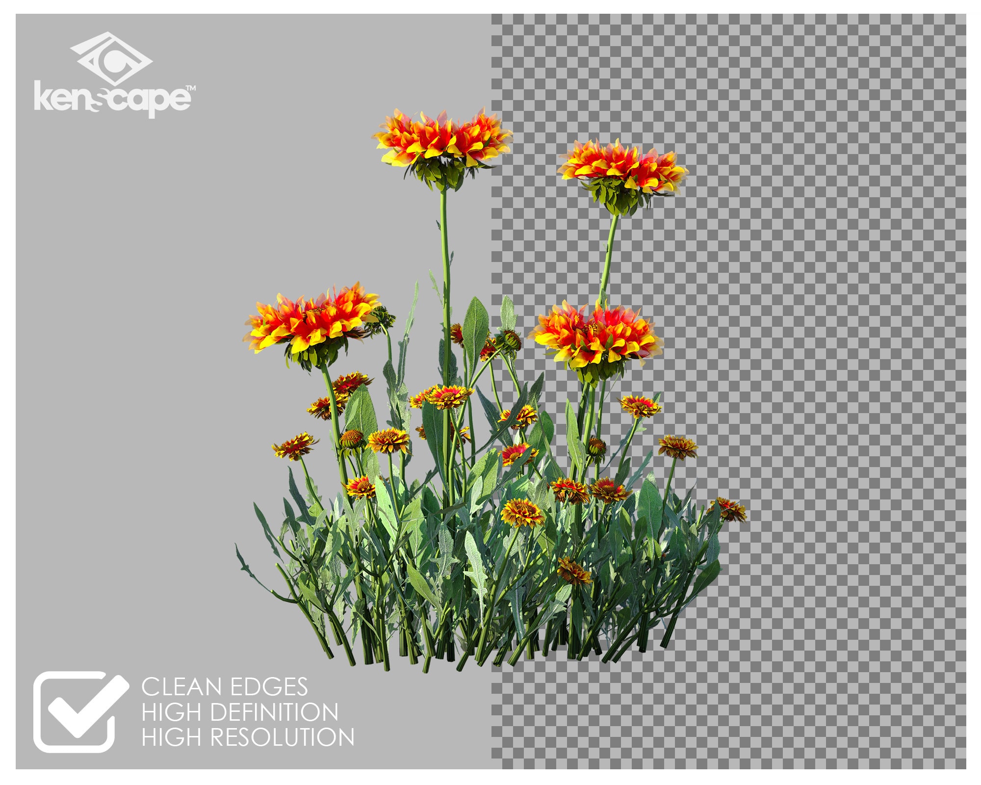 60 Assorted Flowers Photo Overlays for Photoshop, Flowers, Garden ...