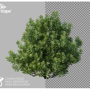 60 Assorted Plants Photo Overlays for Photoshop, Home Plants, Plants ...