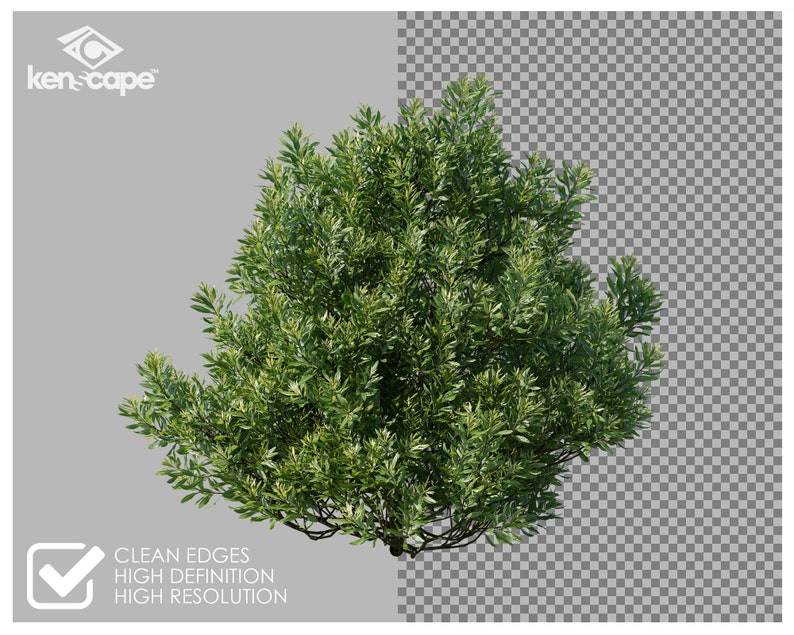 60 Assorted Plants Photo Overlays for Photoshop, Home Plants, Plants ...