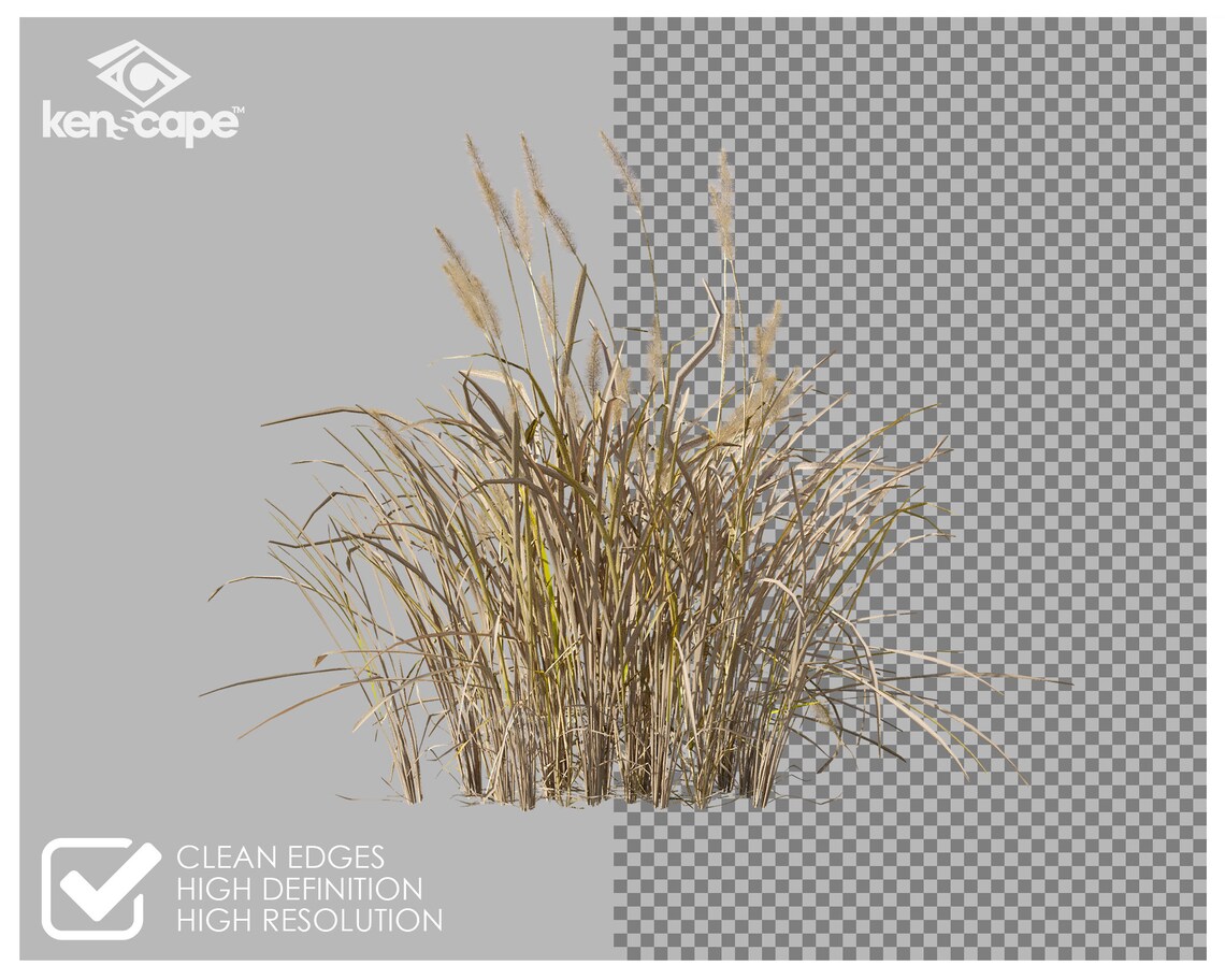 80 Dry Grass Photo Overlays for Photoshop Grass Landscape - Etsy