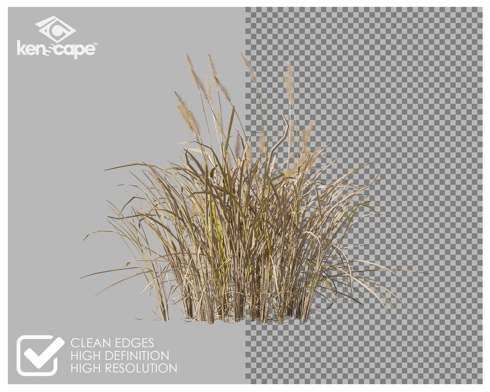 80 Dry Grass Photo Overlays for Photoshop, Grass, Landscape, Dead Grass ...