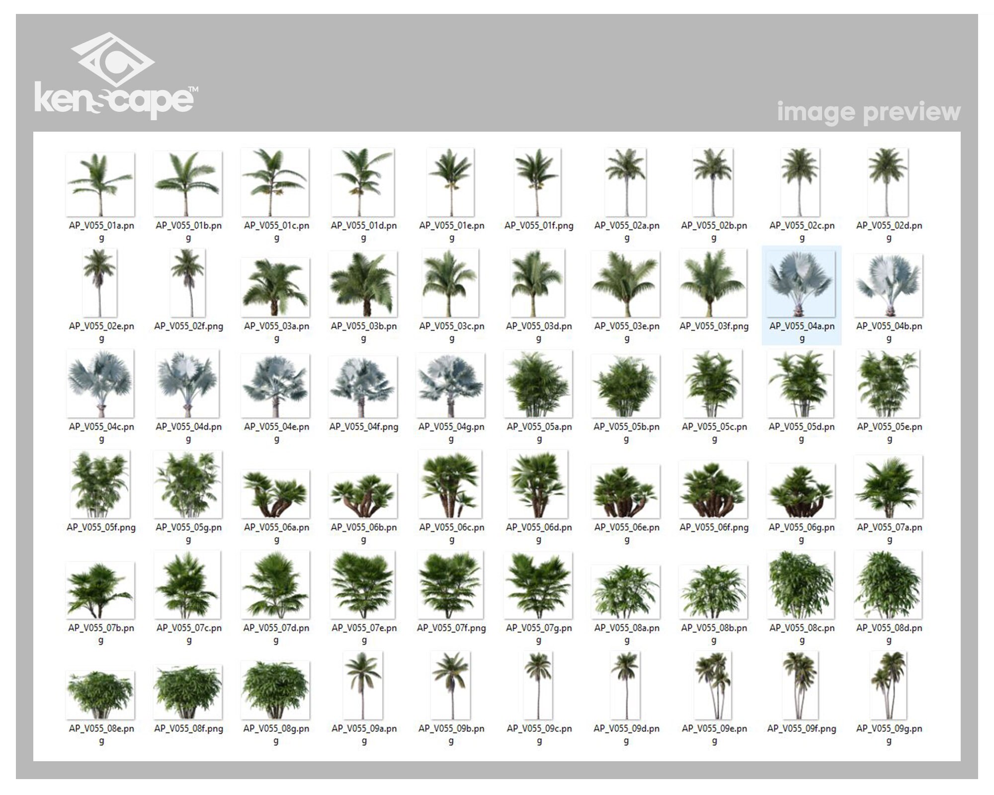 60 Tropical Plants Photo Overlays for Photoshop, Trees, Tropical Plants ...