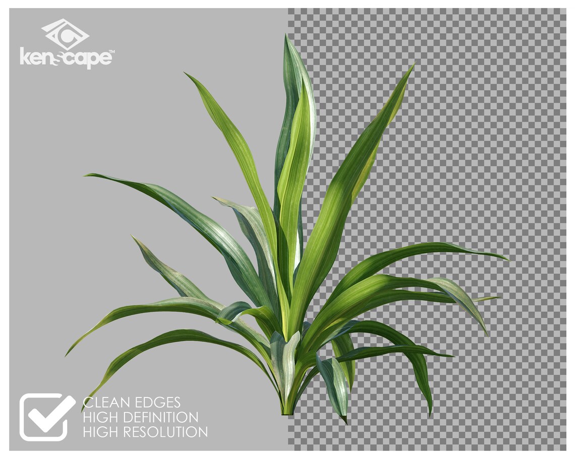 78 Assorted Plants Photo Overlays for Photoshop, Home Plants, Plants ...