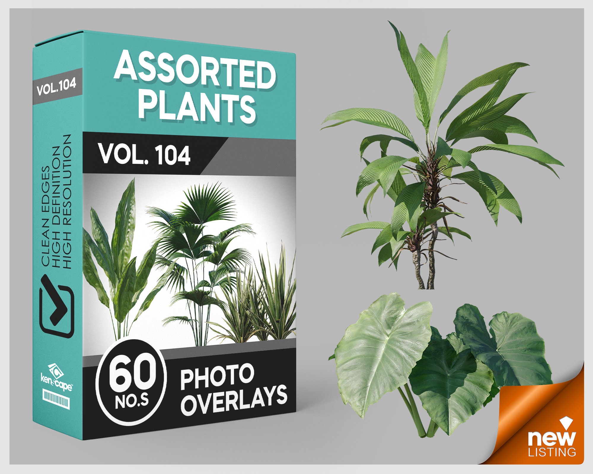 60 Assorted Plants Photo Overlays for Photoshop, Plants, Foliage Plants ...