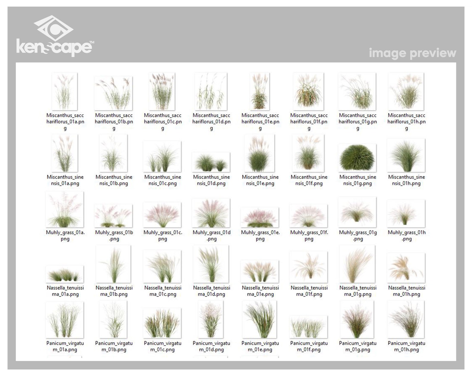 80 Grass Photo Overlays for Photoshop, Grass, Landscape, Plants ...