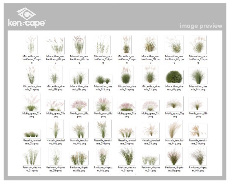 80 Grass Photo Overlays for Photoshop, Grass, Landscape, Plants ...