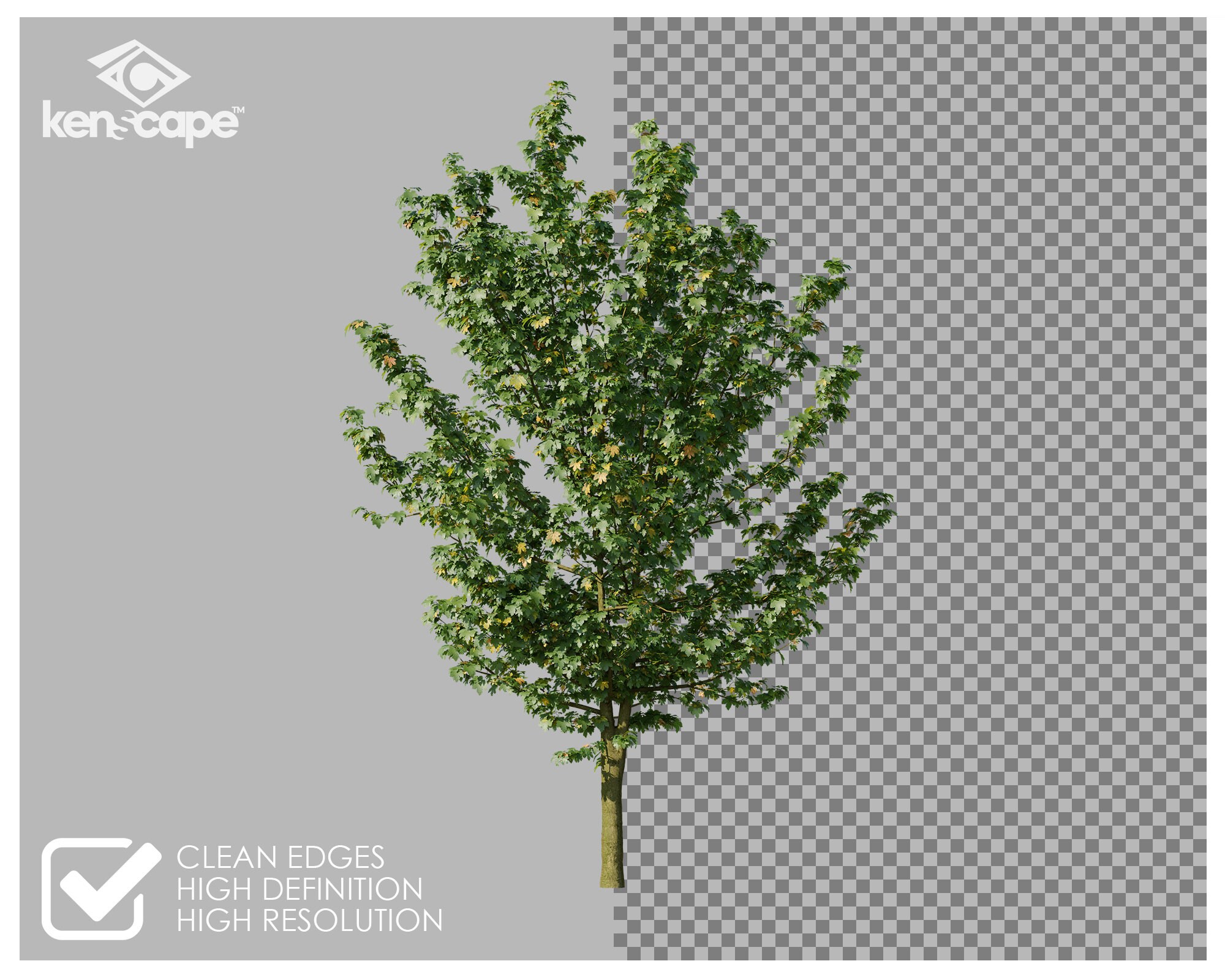 72 Small Trees Photo Overlays for Photoshop, Trees, Plants, Cutouts ...