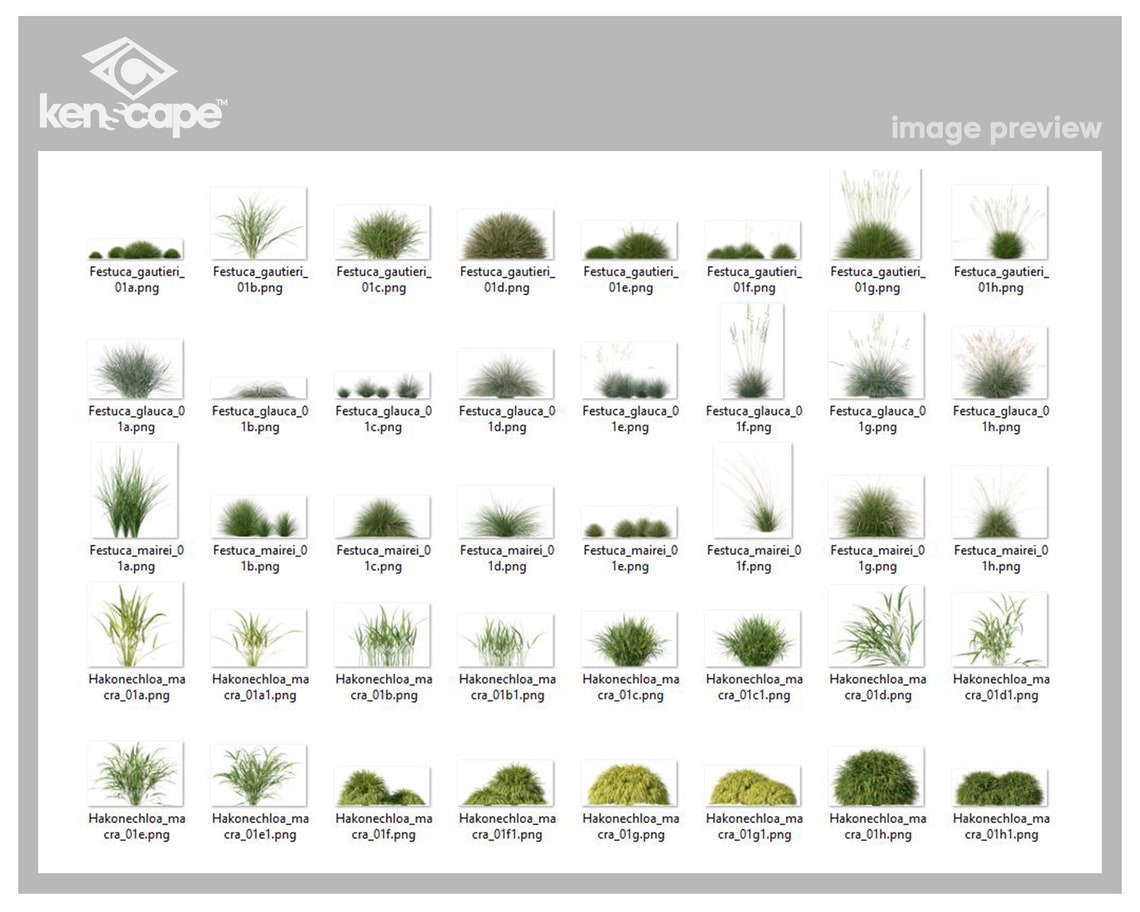 80 Grass Photo Overlays for Photoshop Grass Landscape - Etsy
