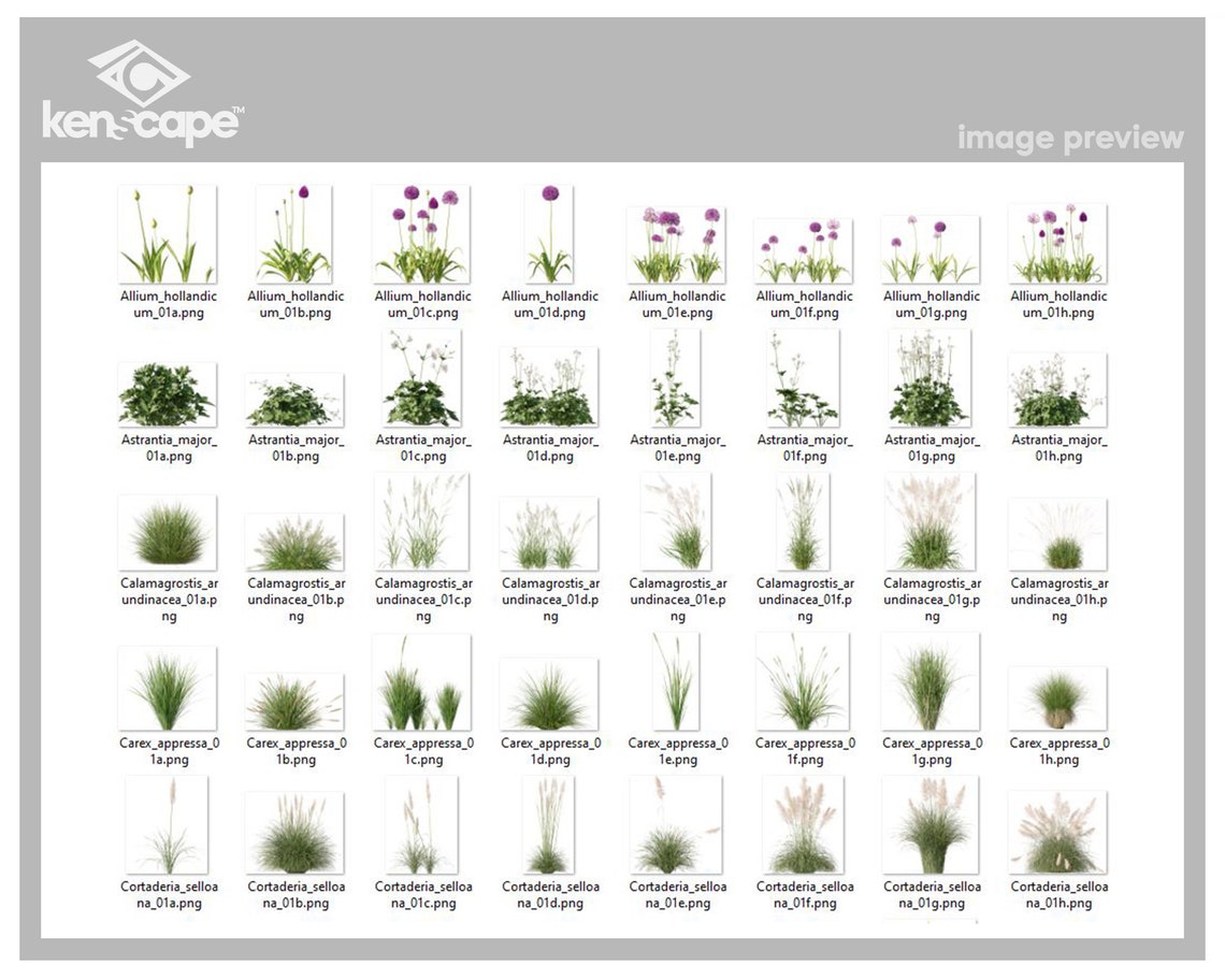 80 Grass Photo Overlays for Photoshop Grass Landscape - Etsy