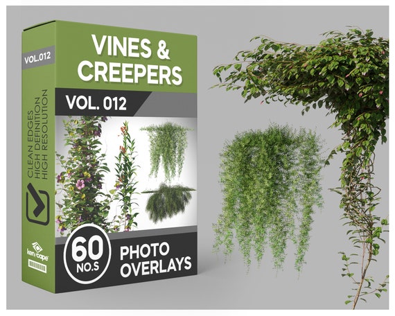 60 Vines & Creepers Photo Overlays for Photoshop Vines Ivy - Etsy