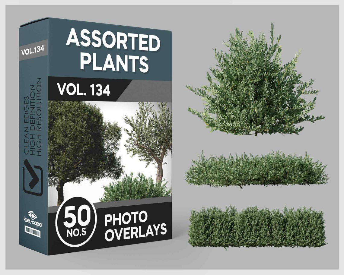 50 Assorted Plants Photo Overlays for Photoshop, Home Plants, Plants ...