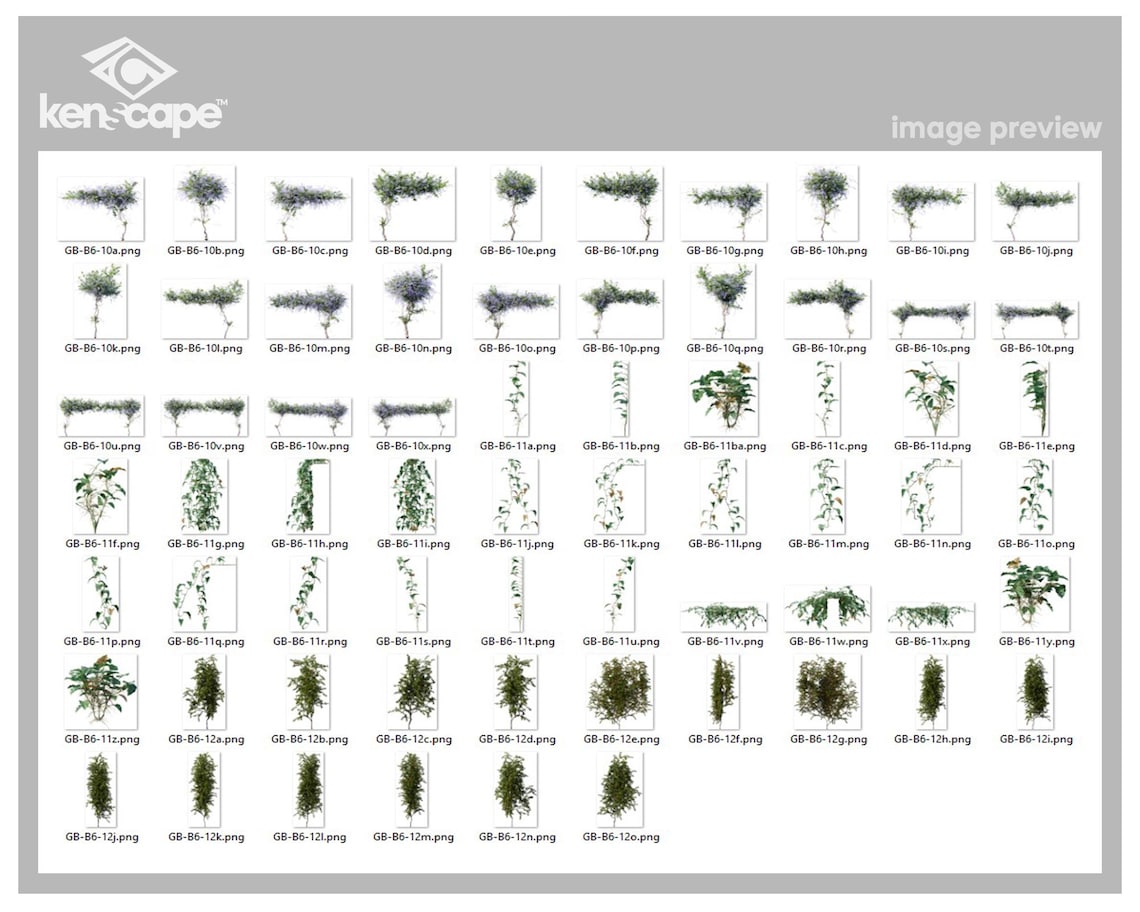 66 Vines & Creepers Photo Overlays for Photoshop, Vines, Ivy, Plants ...