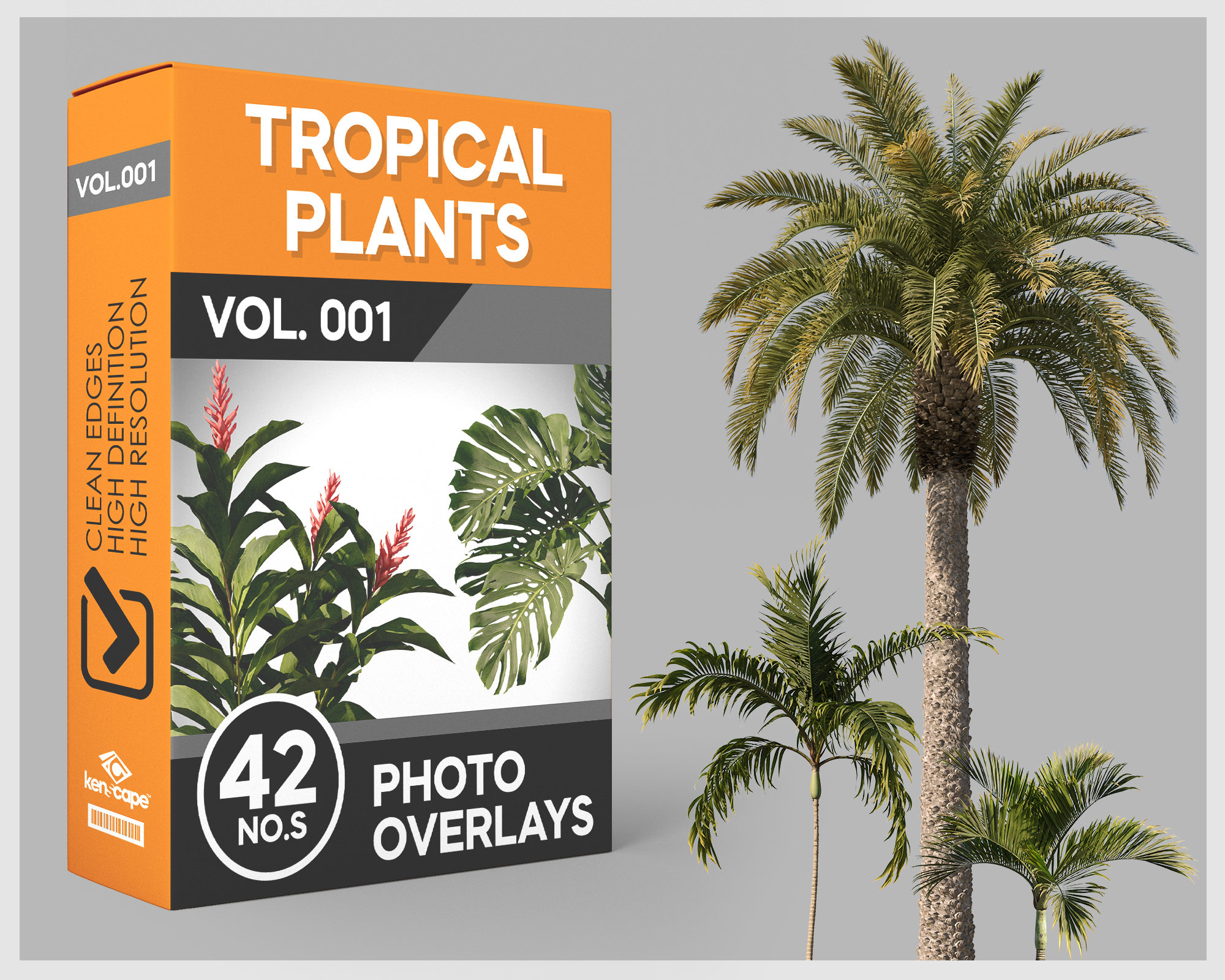 42 Tropical Plants Photo Overlays for Photoshop, Trees, Tropical Plants ...