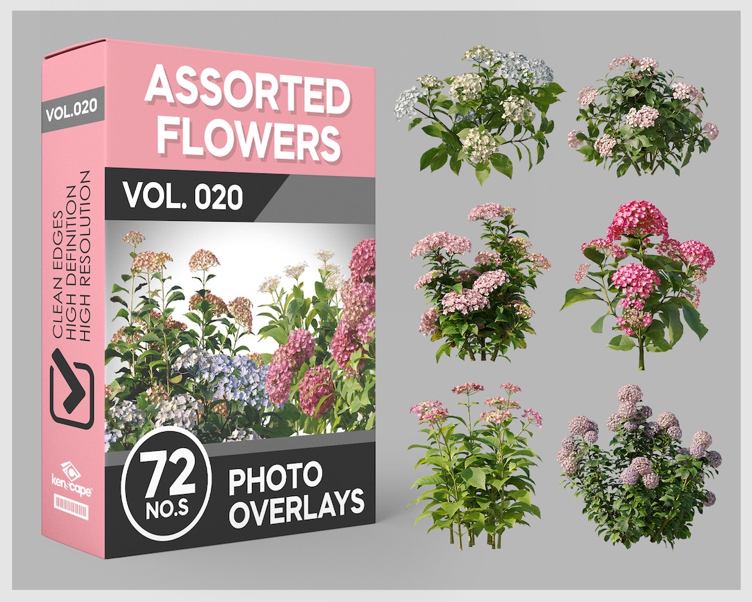 72 Assorted Flowers Photo Overlays for Photoshop, Flowers, Garden ...