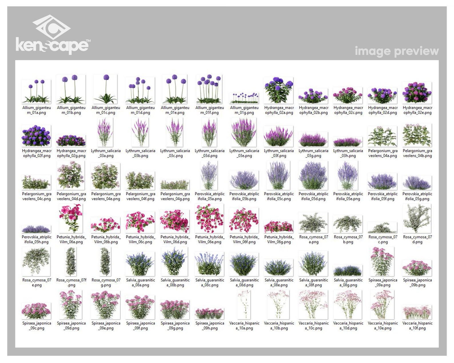 72 Assorted Flowers Photo Overlays for Photoshop, Flowers, Garden ...