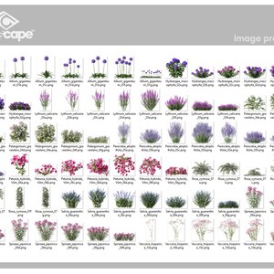72 Assorted Flowers Photo Overlays for Photoshop, Flowers, Garden ...