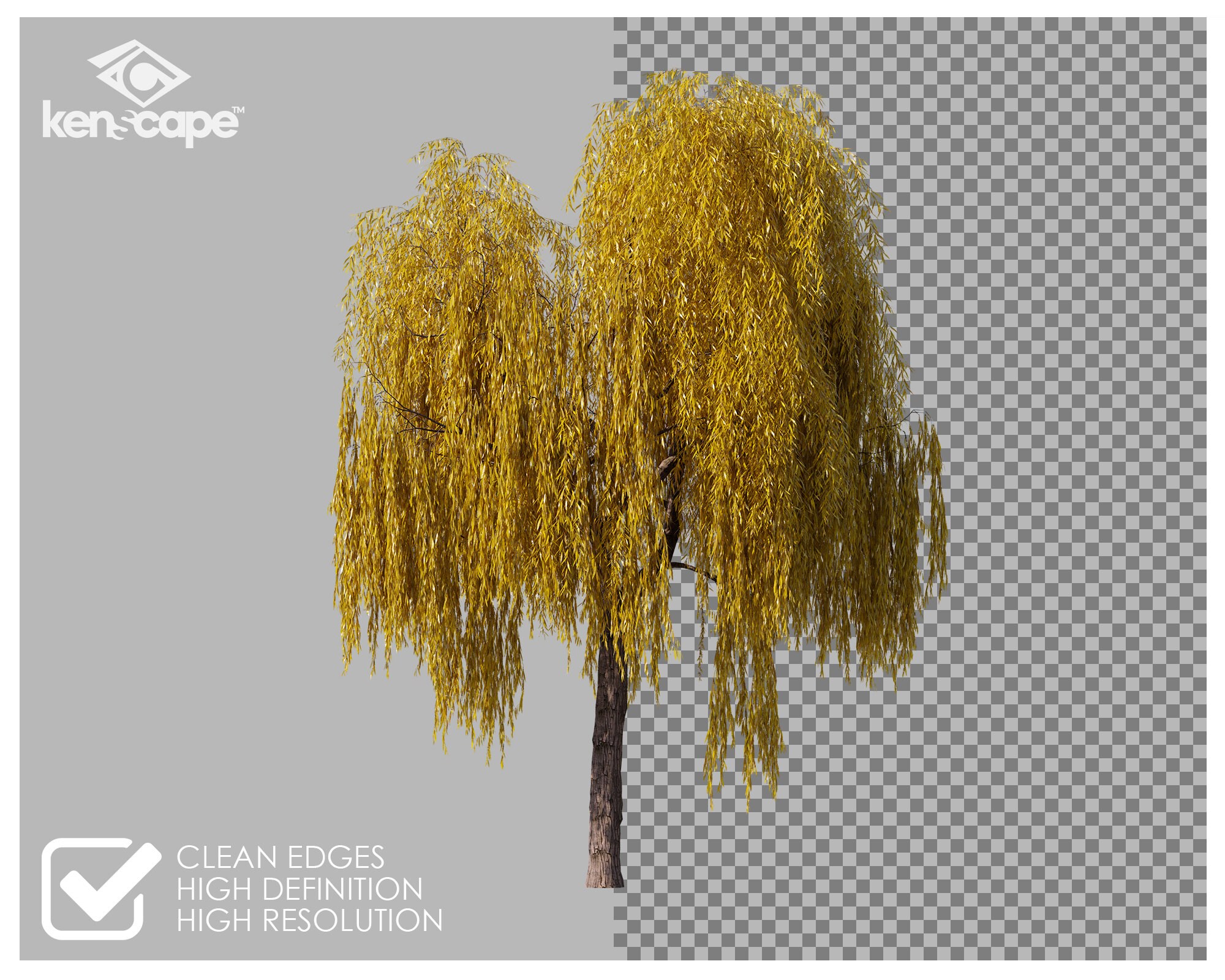 72 Assorted Trees Photo Overlays for Photoshop, Trees, Plants, Cutouts ...