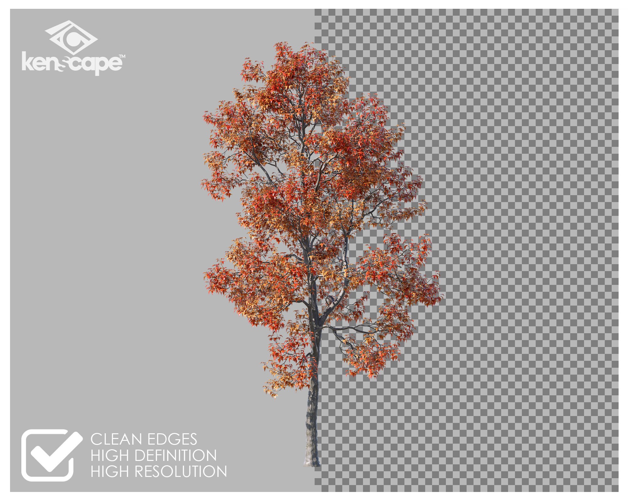 60 Autumn Trees Photo Overlays for Photoshop, Trees, Fall Trees ...