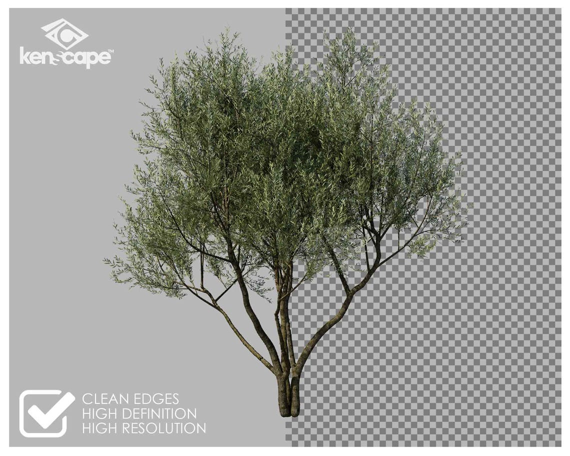 50 Assorted Plants Photo Overlays for Photoshop, Home Plants, Plants ...