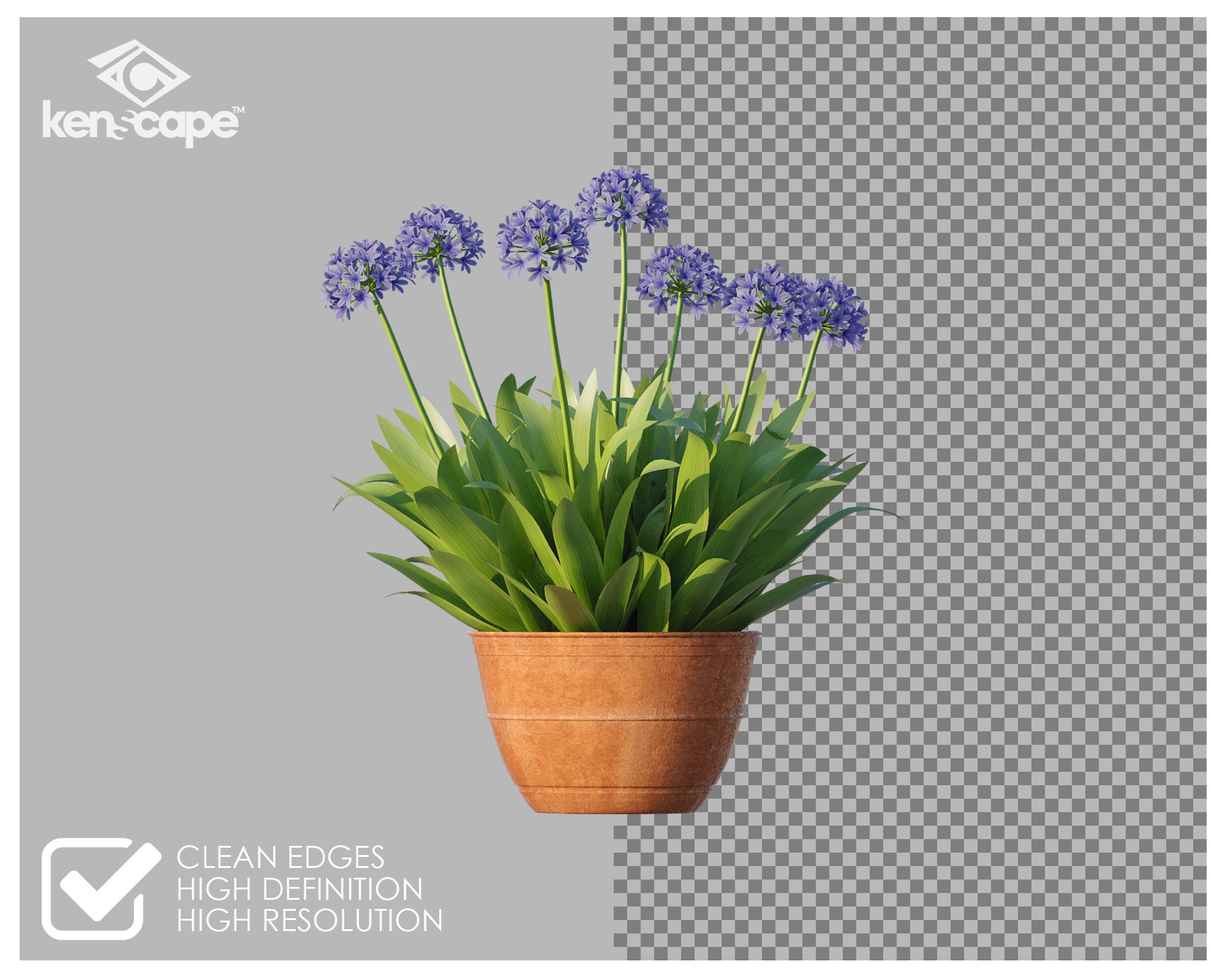 50 Potted Plants Photo Overlays for Photoshop, House Plants, Potted ...