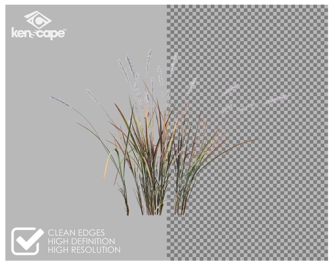 60 Grass Photo Overlays for Photoshop, Grass, Landscape, Plants ...