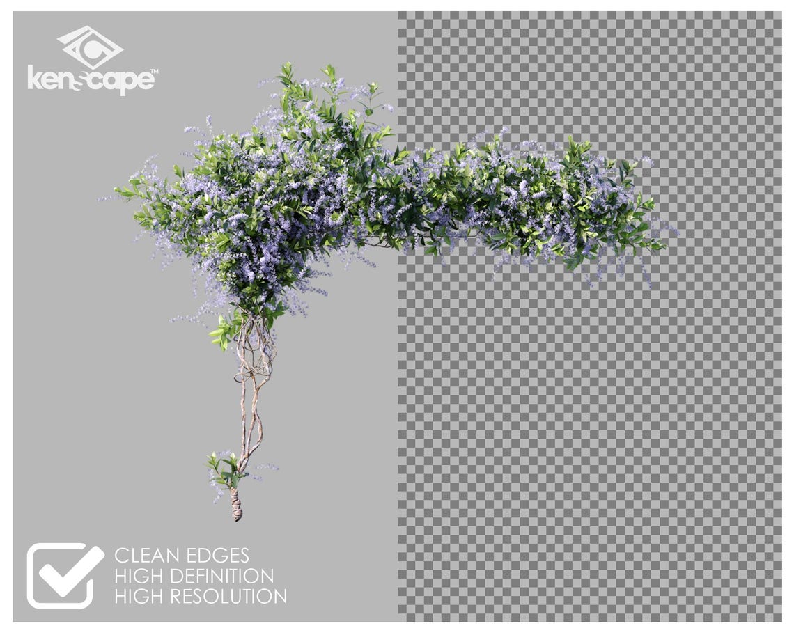 66 Vines & Creepers Photo Overlays for Photoshop, Vines, Ivy, Plants ...