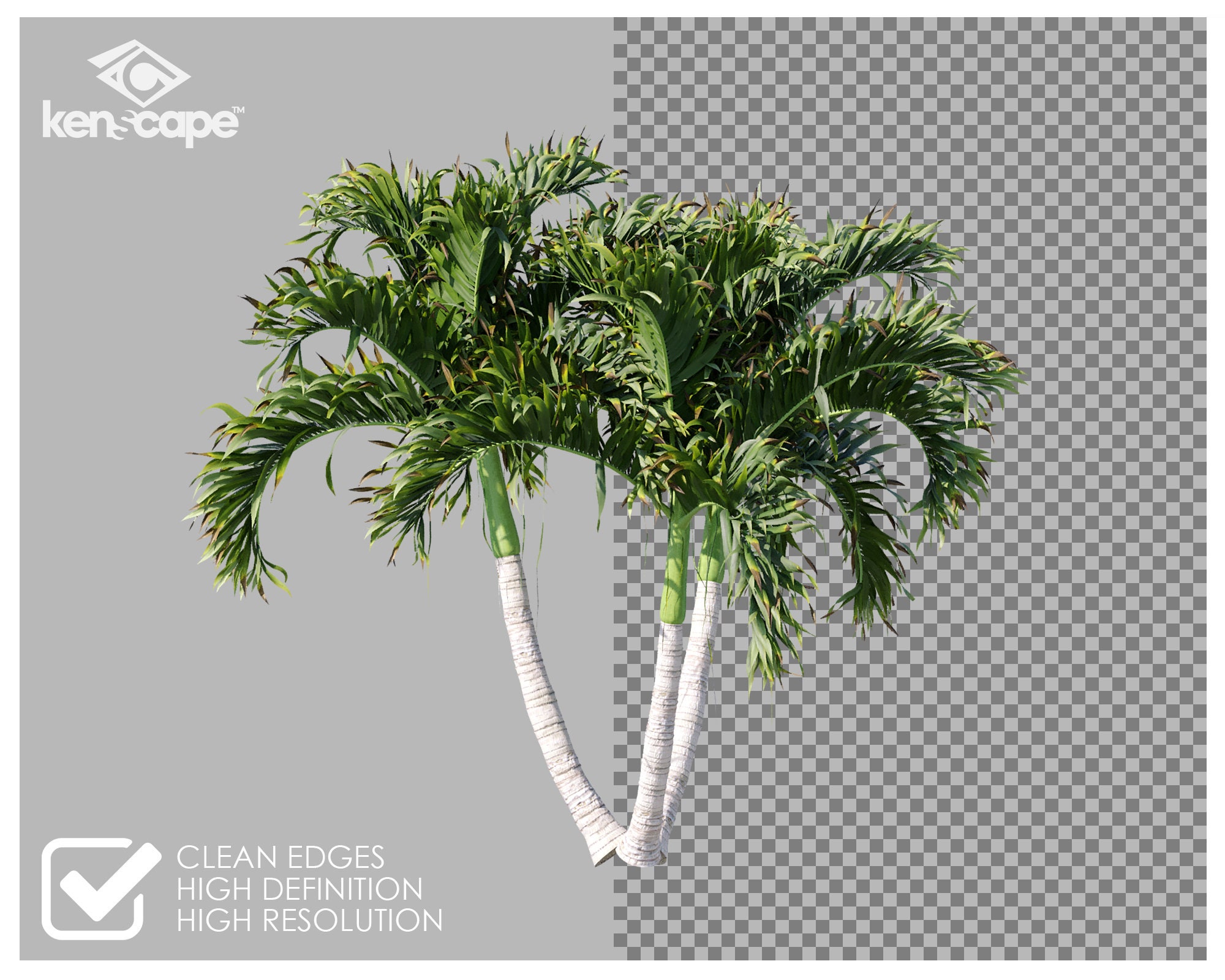 60 Tropical Plants Photo Overlays for Photoshop, Exotic Foliage, Jungle ...