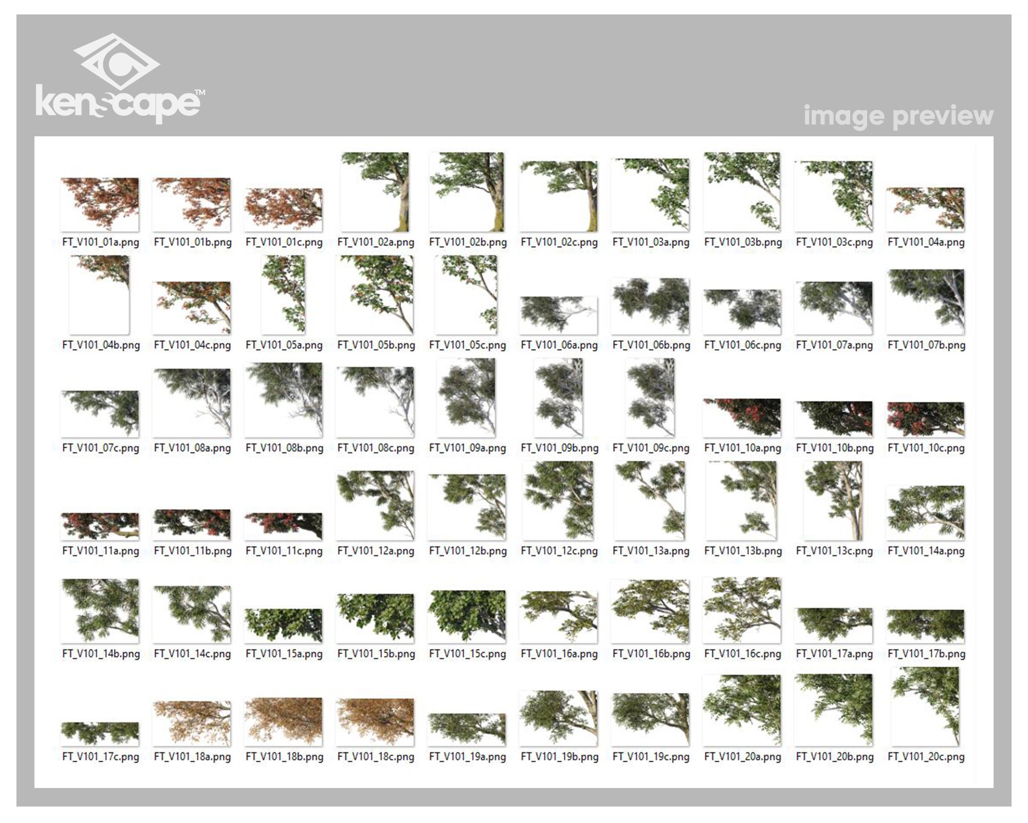 60 Foreground Tree Branches Overlay for Photoshop, Frontal Trees, Trees ...