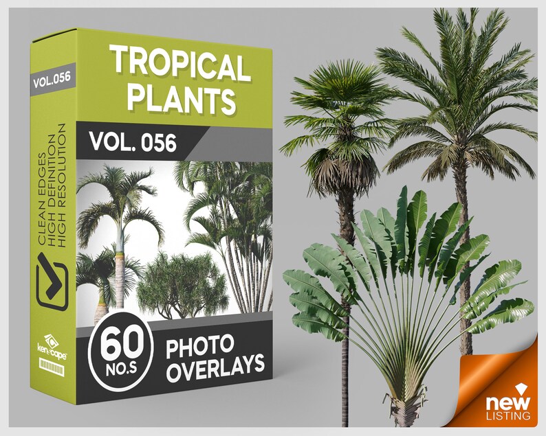 60 Tropical Plants Photo Overlays for Photoshop Trees - Etsy