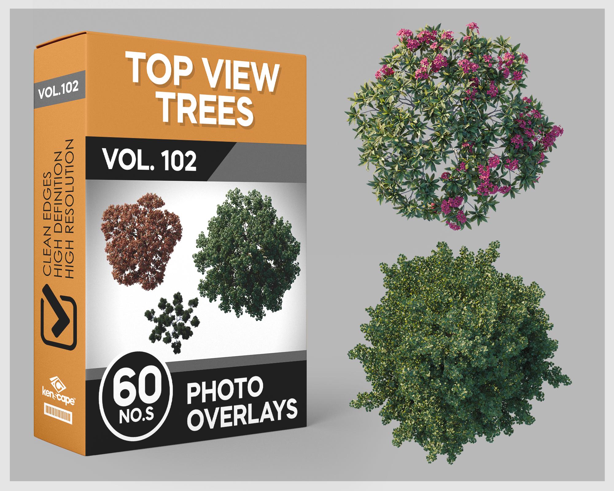 60 Top View Trees Overlay for Photoshop, Aerial Trees, Overhead Trees ...