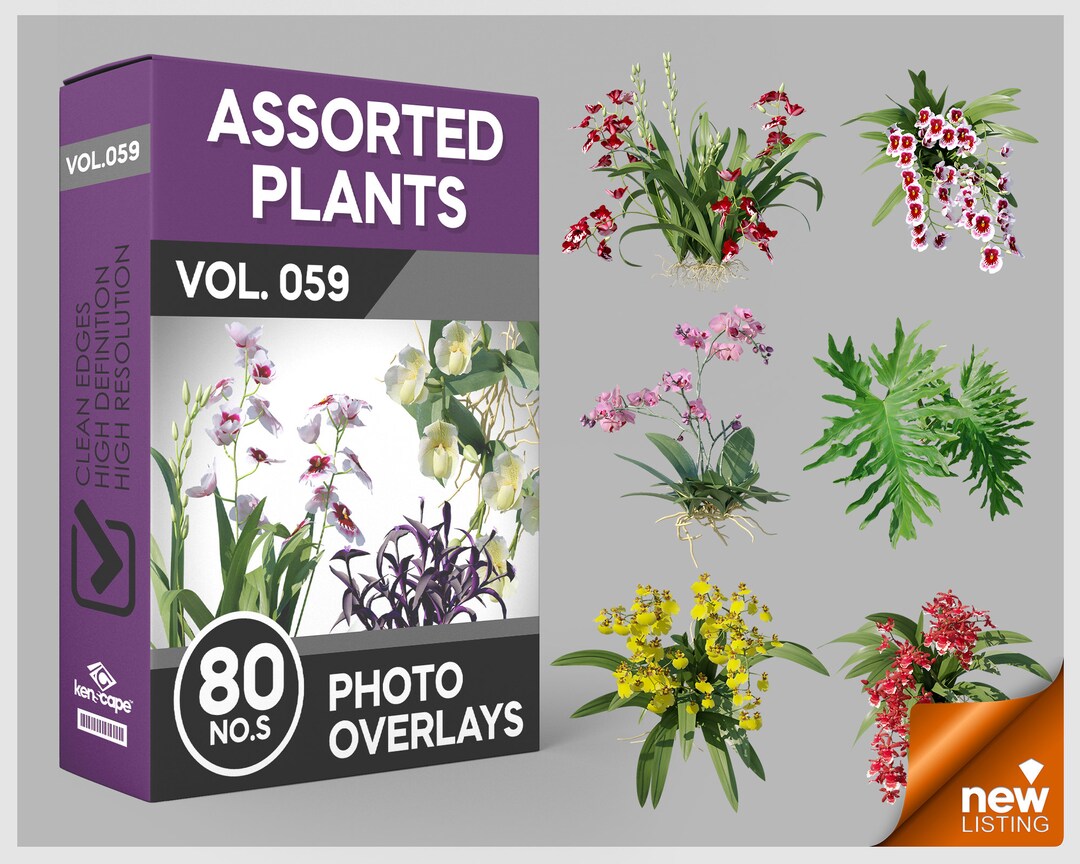 80 Assorted Plants Photo Overlays for Photoshop Orchids - Etsy