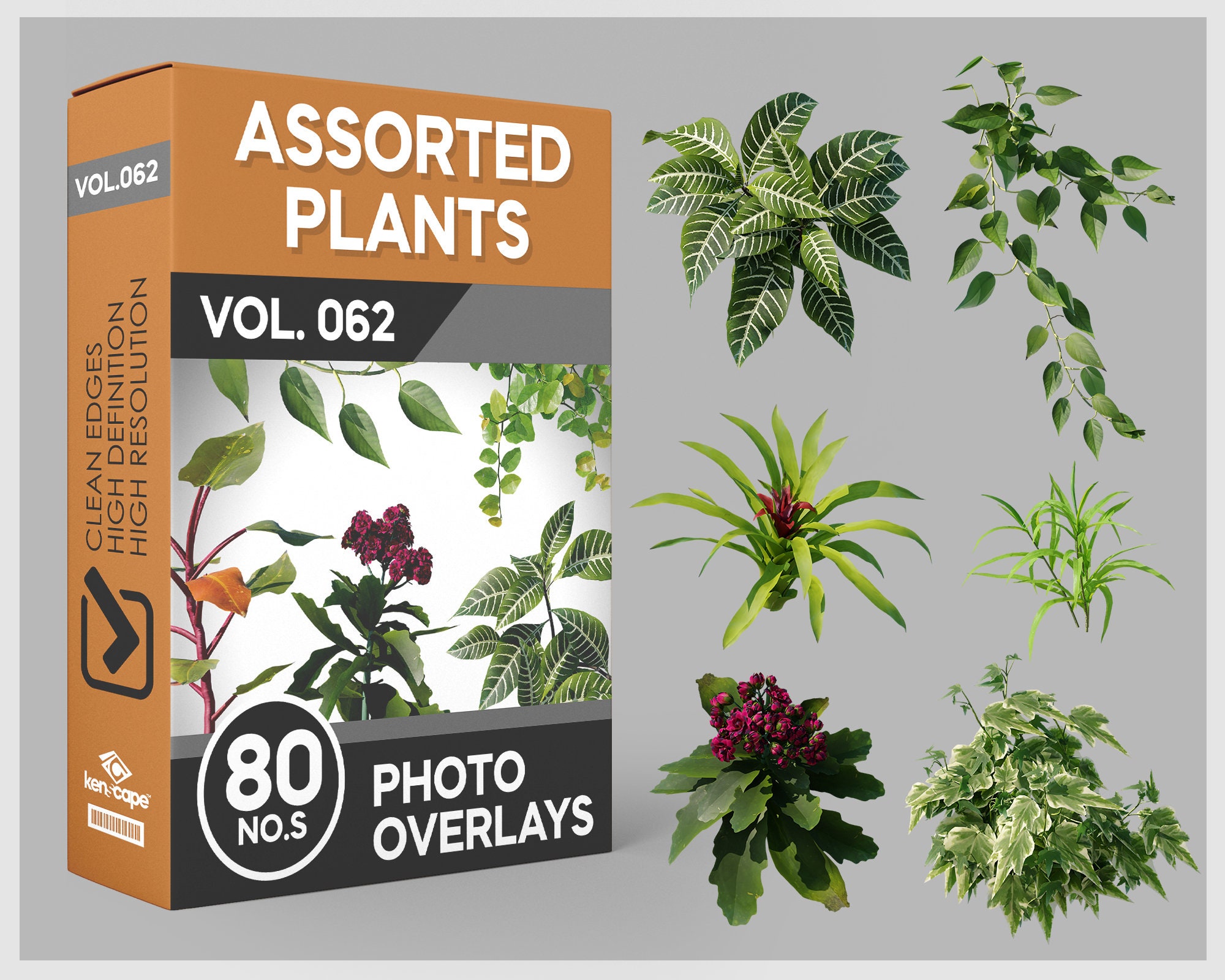80 Assorted Plants Photo Overlays for Photoshop, Home Plants, Plants ...