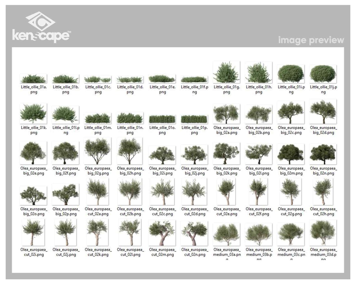 50 Assorted Plants Photo Overlays for Photoshop, Home Plants, Plants ...