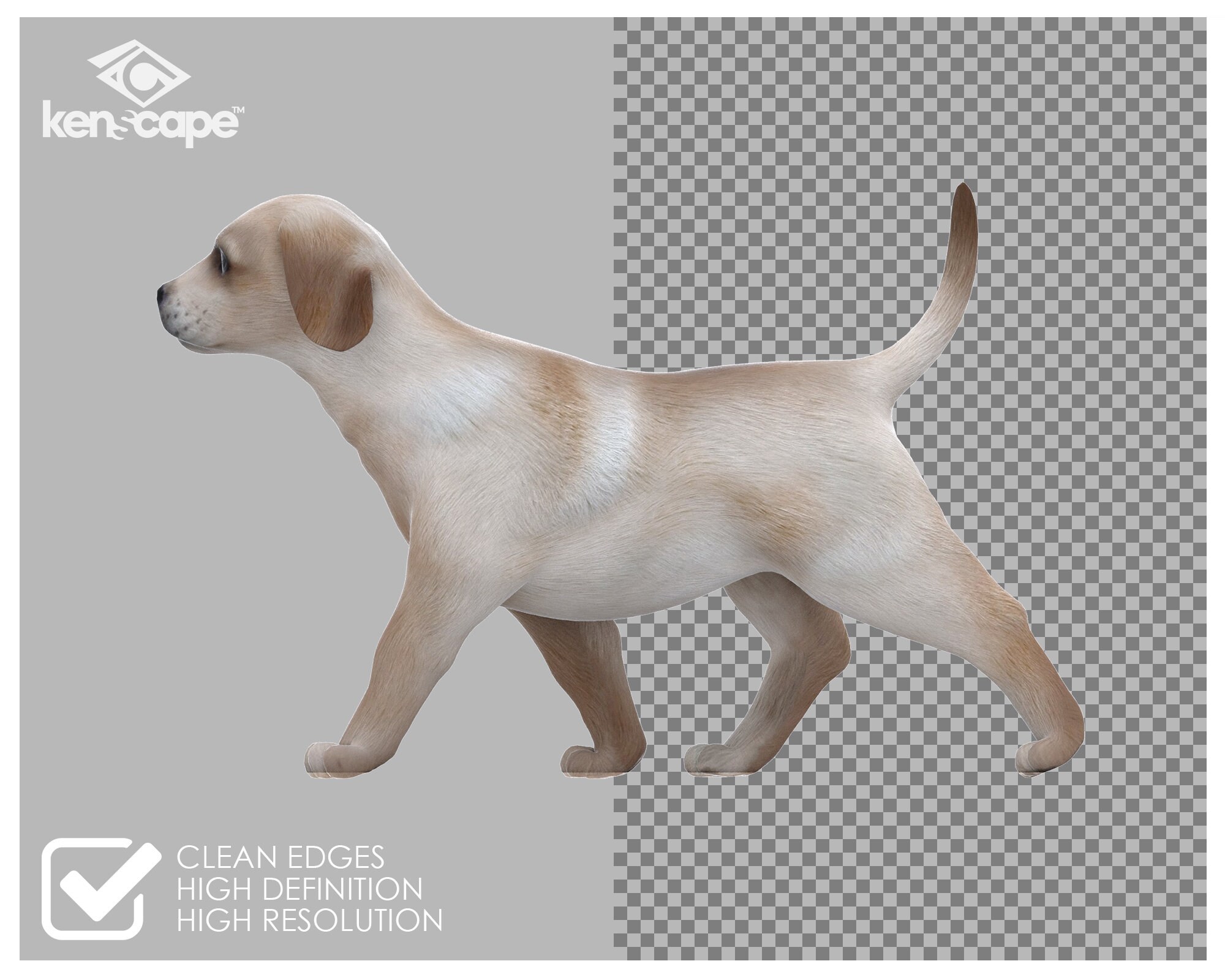 120 Pet and Farm Animals Photo Overlays for Photoshop, Animals, Cutouts ...