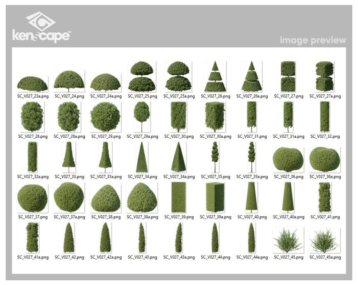 90 Shrubs Photo Overlays for Photoshop, Boxwood, Bush, Undergrowth ...