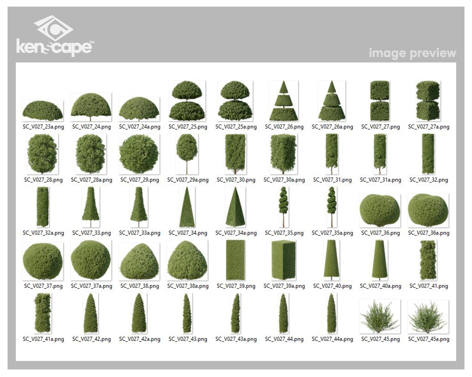 90 Shrubs Photo Overlays for Photoshop, Boxwood, Bush, Undergrowth ...