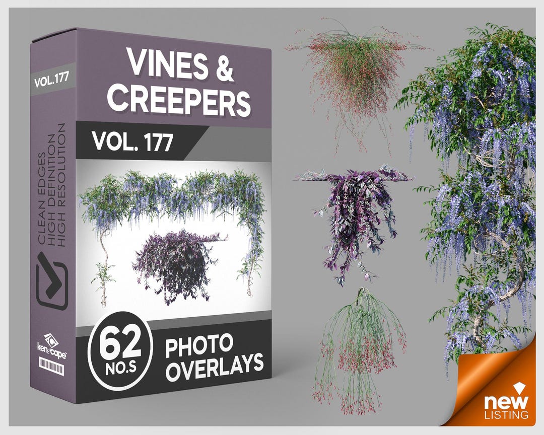 62 Vines & Creepers Photo Overlays for Photoshop, Vines, Ivy, Plants ...