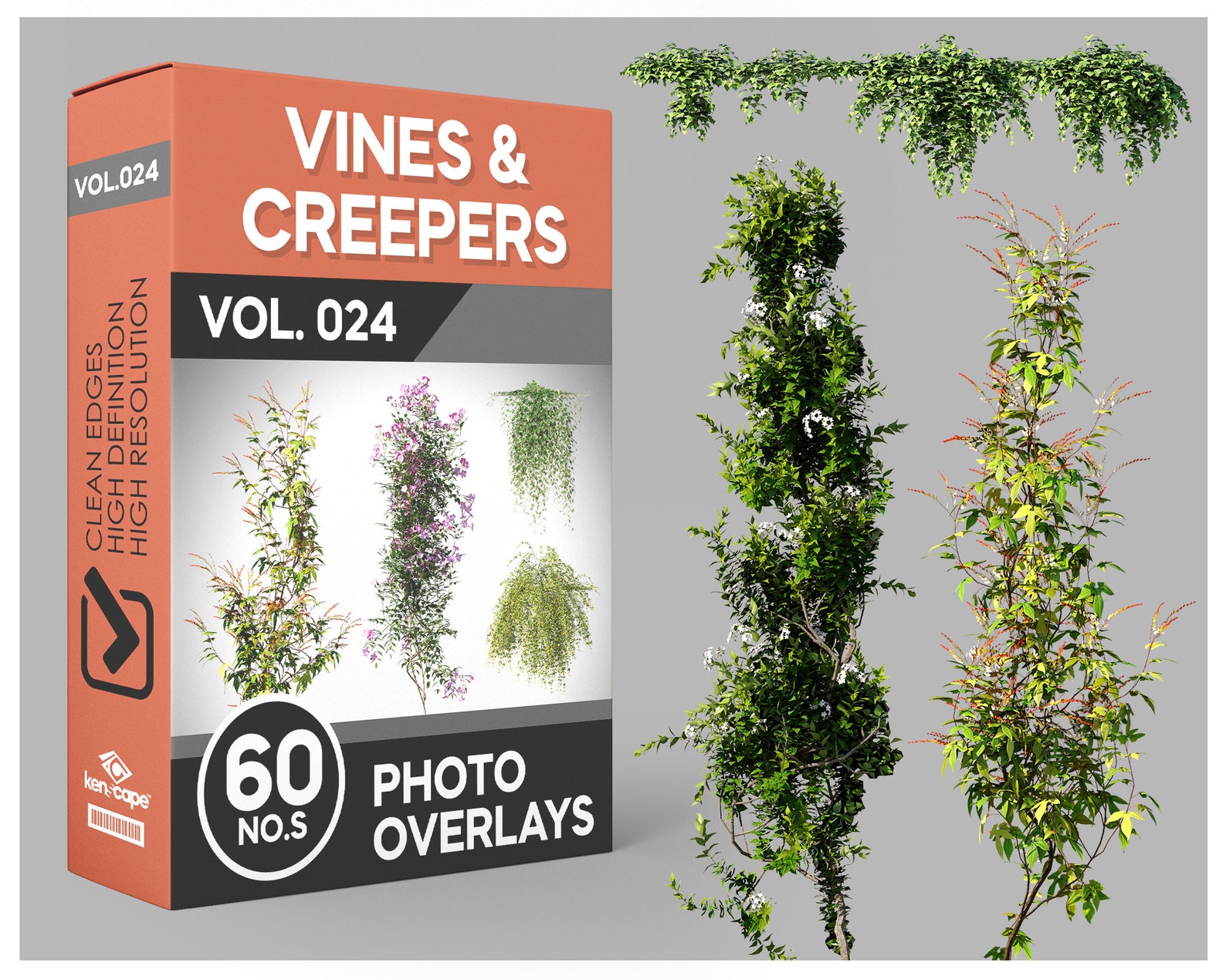 60 Vines & Creepers Photo Overlays for Photoshop Vines Ivy - Etsy
