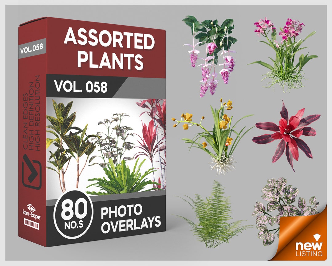 80 Assorted Plants Photo Overlays for Photoshop Orchids - Etsy